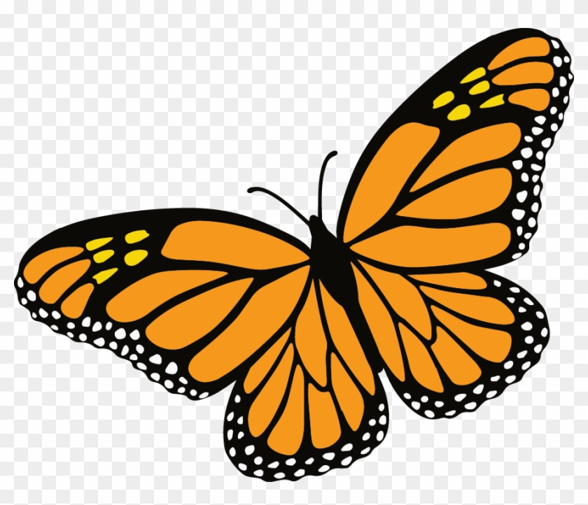 Monarch Butterfly - Full Size PNG Clipart Images Download