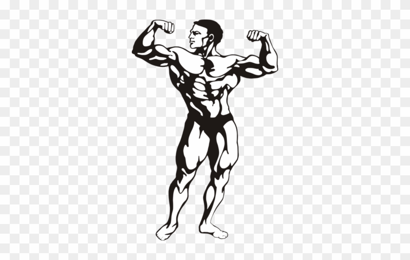 Muscles Clipart - Bodybuilder Clipart - Full Size PNG Clipart Images ...