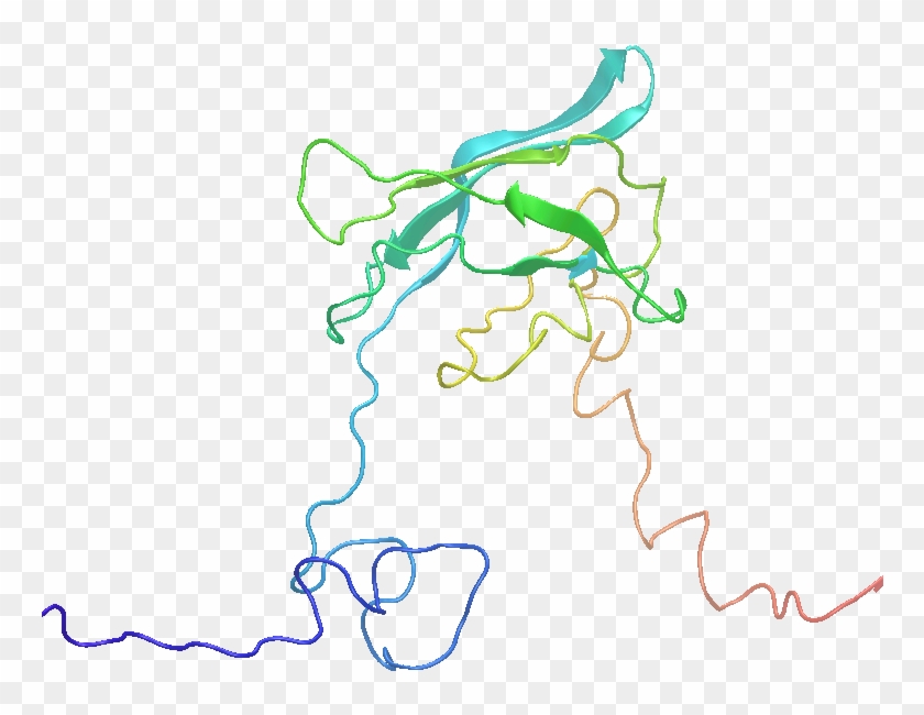 Monoclonal Antibodies 3d Structure Peptide Mapping - Diagram - Full ...