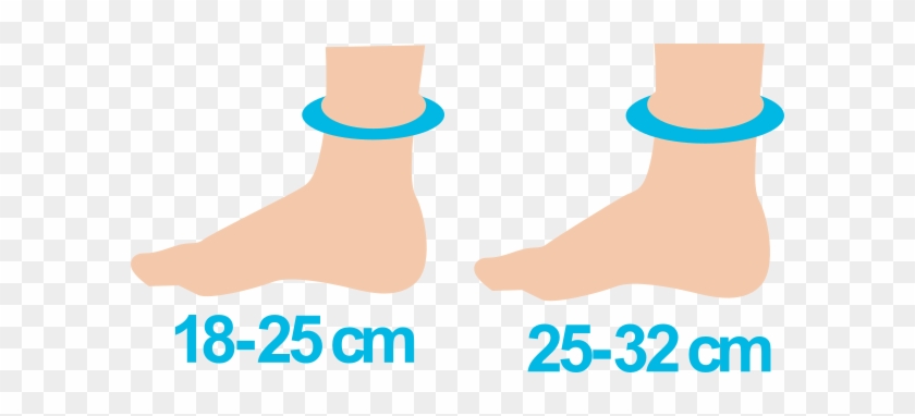 Measure The Ankle Circumference - Measure The Ankle Circumference ...