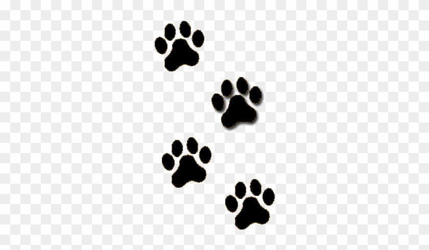 Football Info Kutztown Youth Football & Cheerleading - Paw Print Clip ...