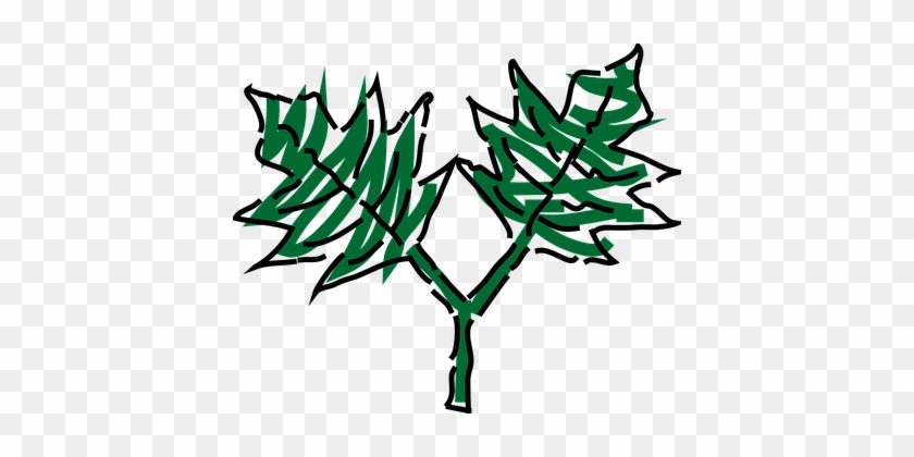 Leaves, Green, Two, Tree, Plant - Clip Art - Full Size PNG Clipart ...