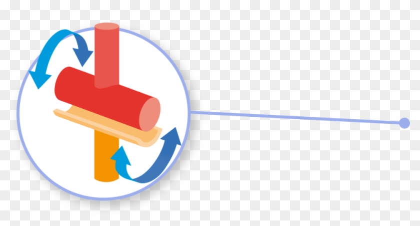 Joints In Human Body Types Of Dk Ⓒ - Joints In Human Body Types Of Dk ...