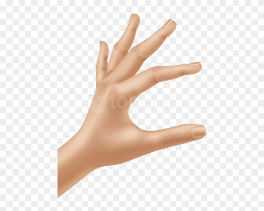 Free Png Download Hand Transparent Clipart Png Photo - Hand Clipart ...