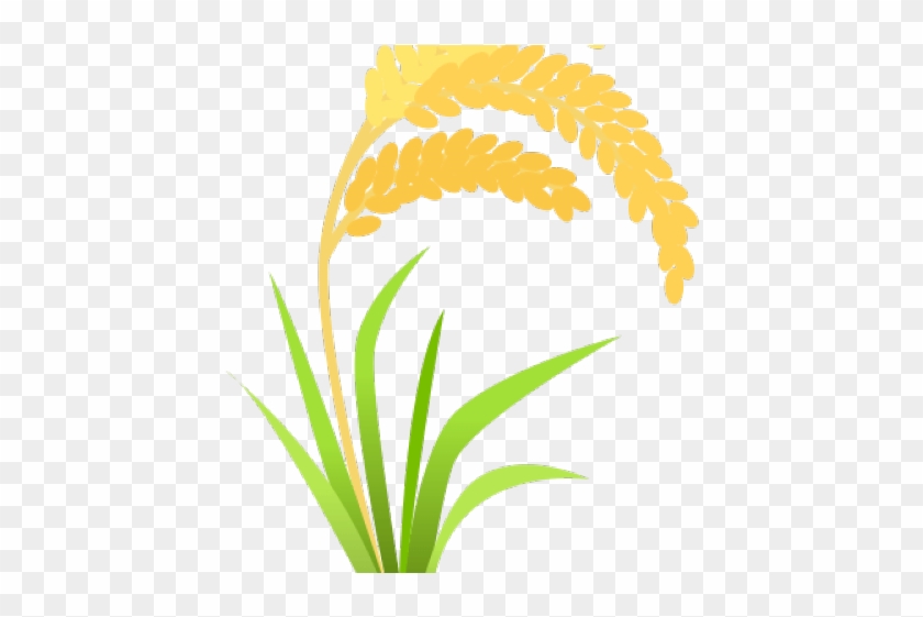 Trees Clipart Rice - Ear Of Rice Transparent - Full Size PNG Clipart ...