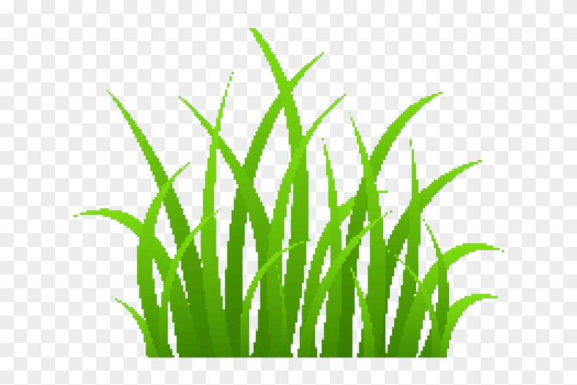 Dry Grass Clipart Wispy - Grass Clipart - Free Transparent PNG Clipart ...