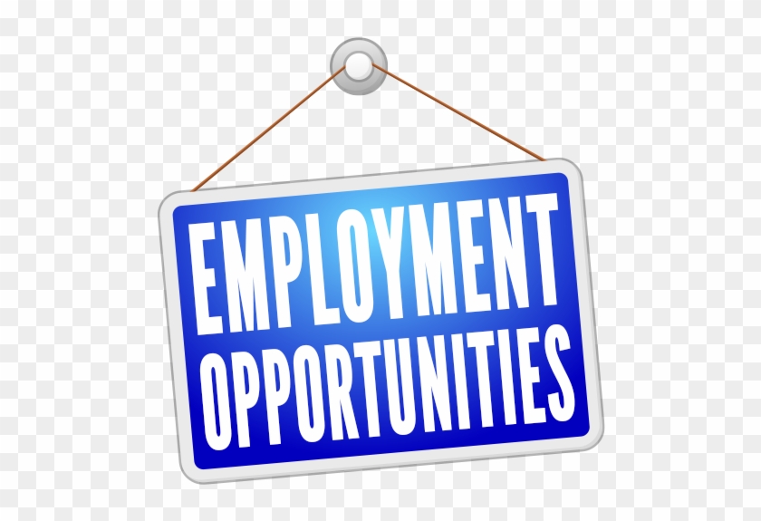 Msm Website Ad - Msm Website Ad - Free Transparent PNG Clipart Images ...