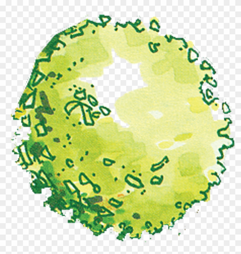 Curious Architecture Tree Transprent Png Free Download - Plan Of Trees ...