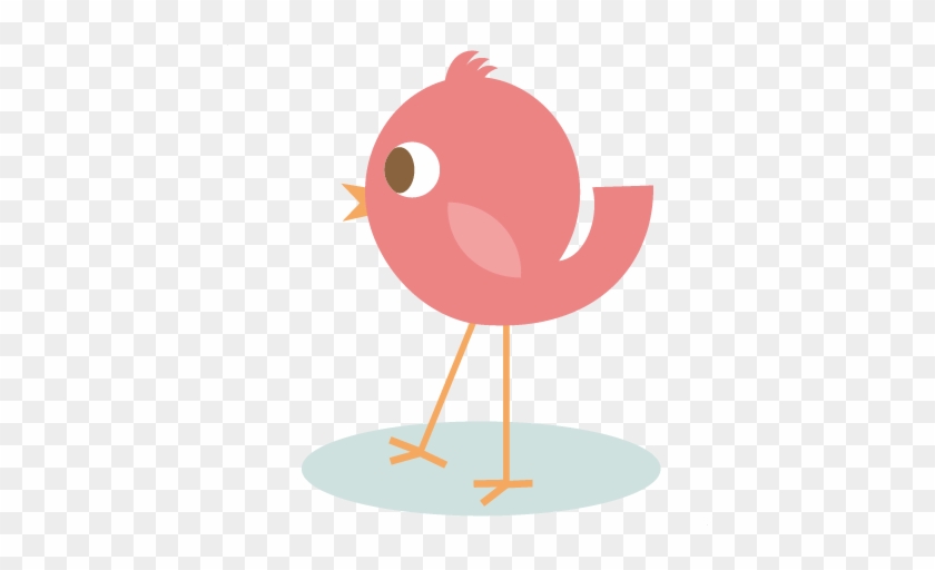 Doctor Bird Svg - Spring Bird Png - Full Size PNG Clipart Images Download