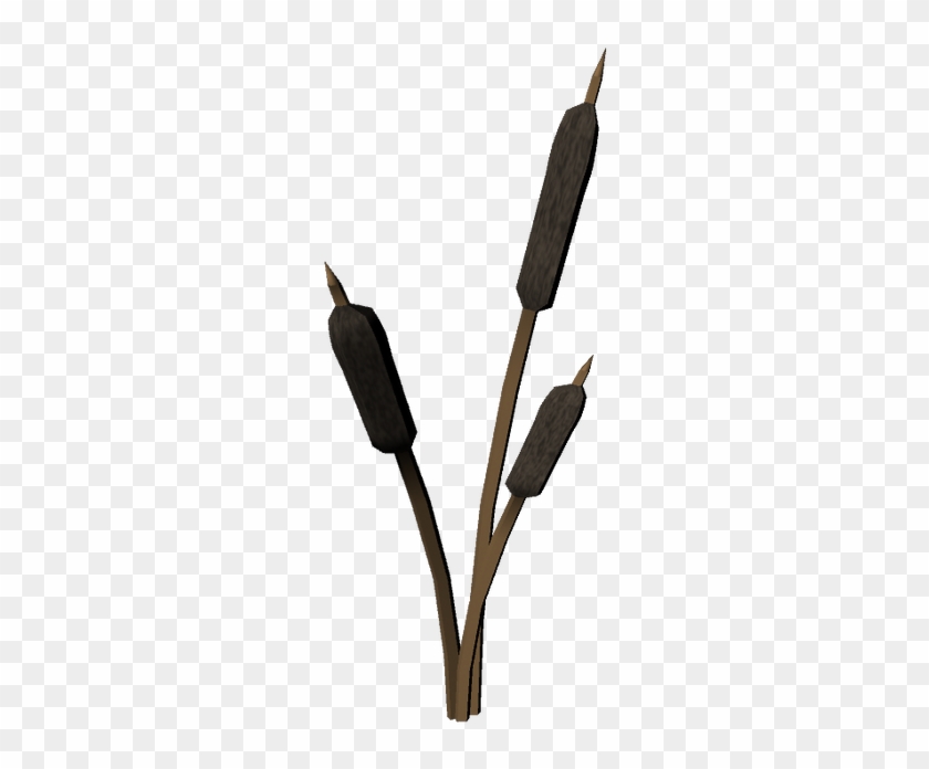 Cattails Png - Wire - Free Transparent PNG Clipart Images Download