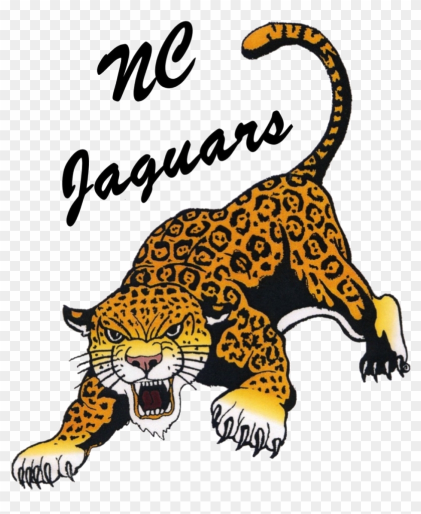 Northern Cass School Logo - Free Transparent PNG Clipart Images Download