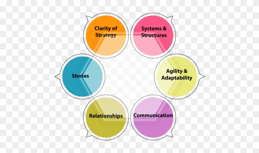 Nurture Your Culture - Diagram - Free Transparent PNG Clipart Images ...