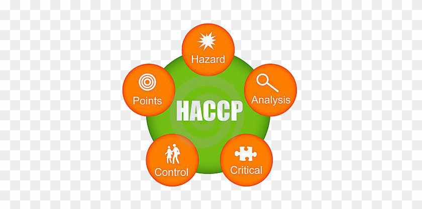 Haccp Transparent Boston Baking Inc - Hazard Analysis And Critical ...