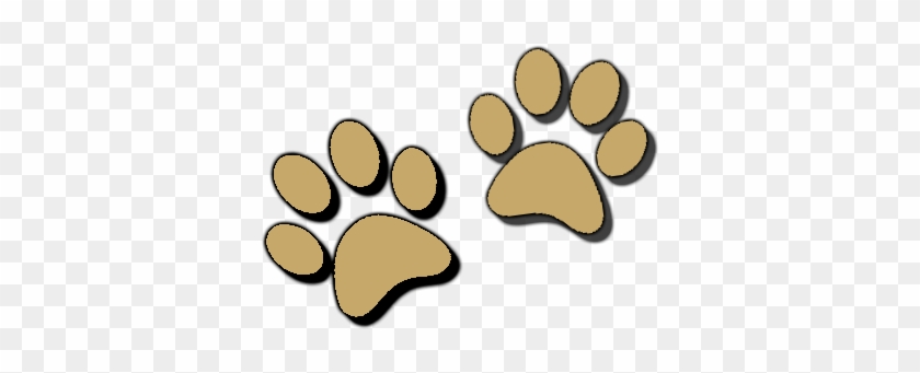 Melissa Purvis Puppies - Melissa Purvis Puppies - Free Transparent PNG ...