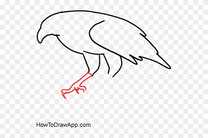 Image Royalty Free How To Draw An Easy By Steps - Draw An Eagle's Legs ...