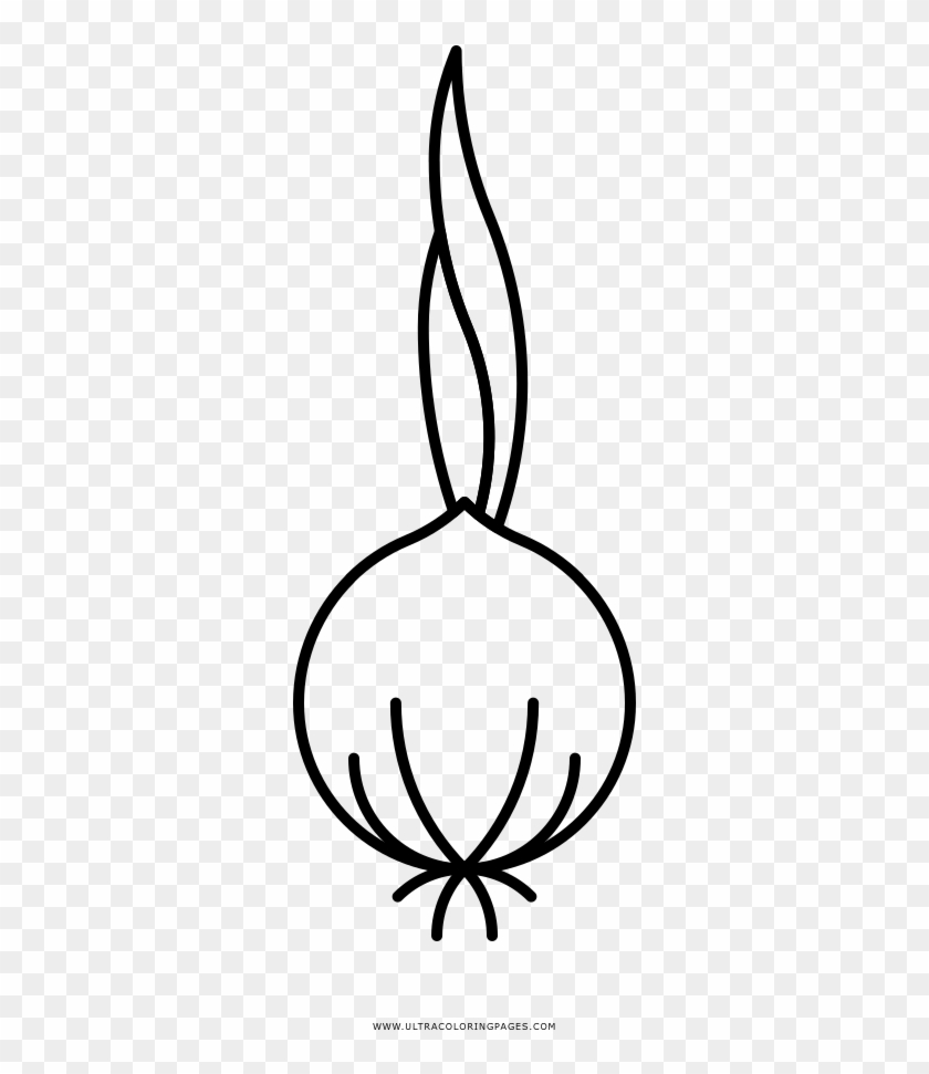 Onion Coloring Page - Line Art - Full Size PNG Clipart Images Download