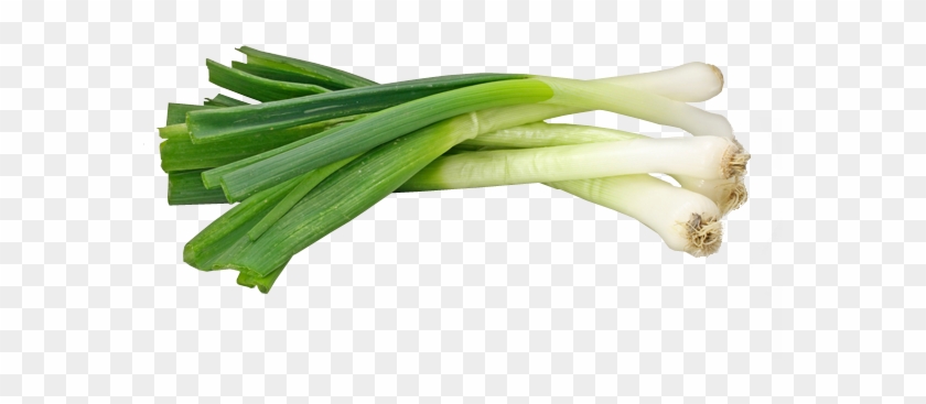 600 X 600 3 - Spring Onion Transparent Background - Full Size PNG ...