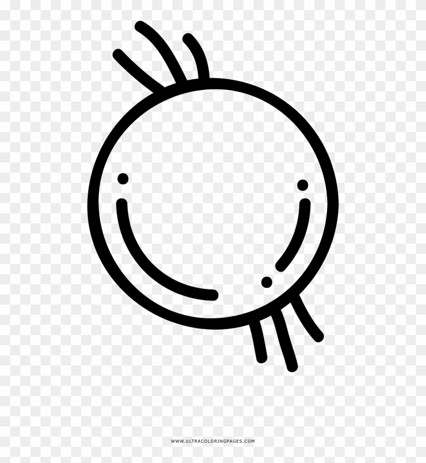 Onion Coloring Page - Circle - Free Transparent PNG Clipart Images Download