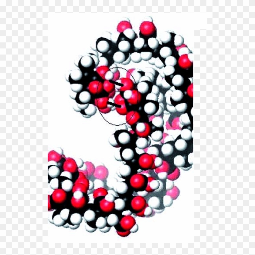 Detail Of A Compact Structure Of I Pma At Α = - Number - Full Size PNG ...