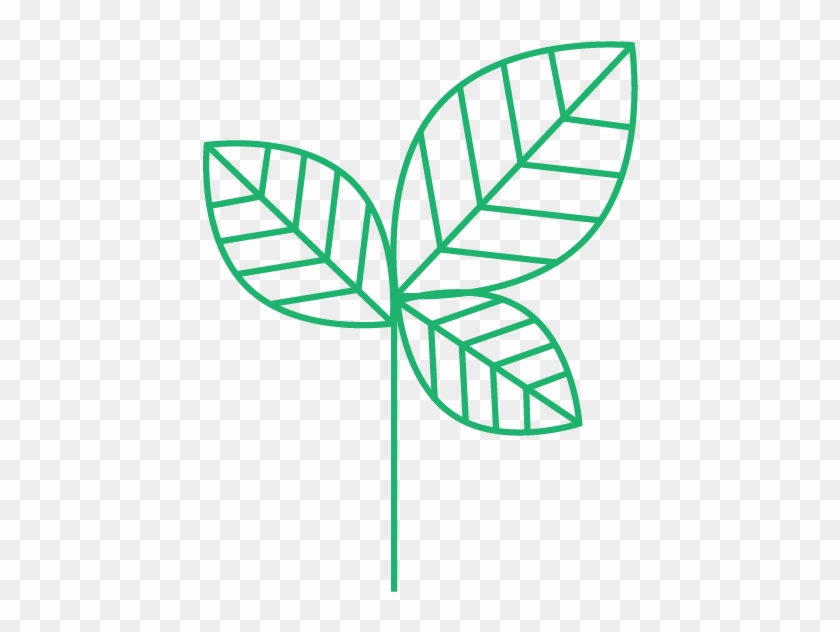 Grow - Lensless Fourier Transform Digital Holography - Full Size PNG ...