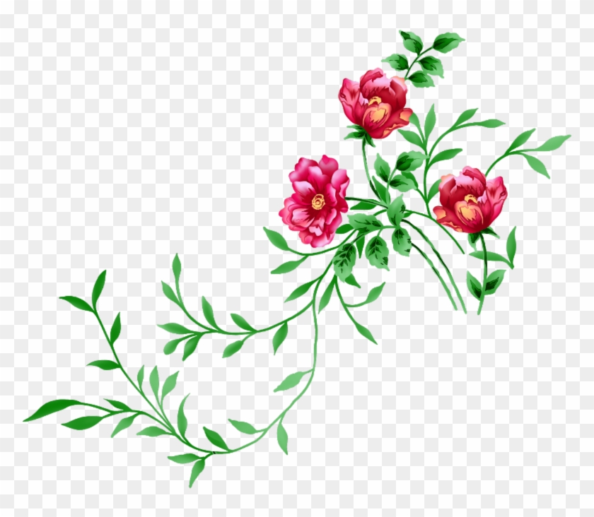 Null - Common Peony - Full Size PNG Clipart Images Download