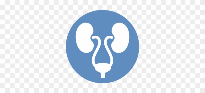 Urethritis - Illustration - Free Transparent PNG Clipart Images Download