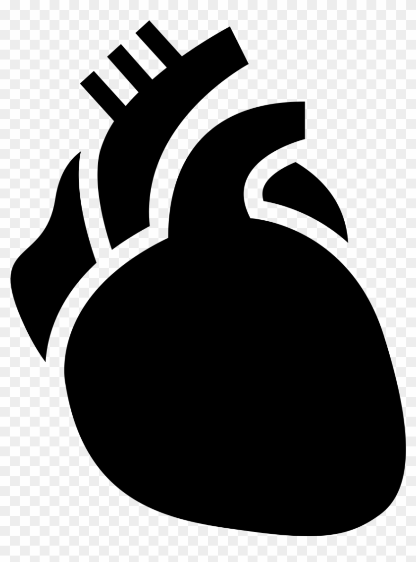 2 Standard Drinks Per Day - Anatomical Heart Icon - Full Size PNG ...