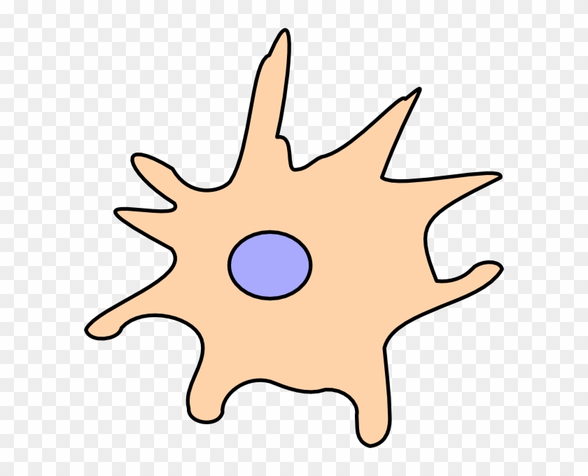 Cell Clip Art - Full Size PNG Clipart Images Download