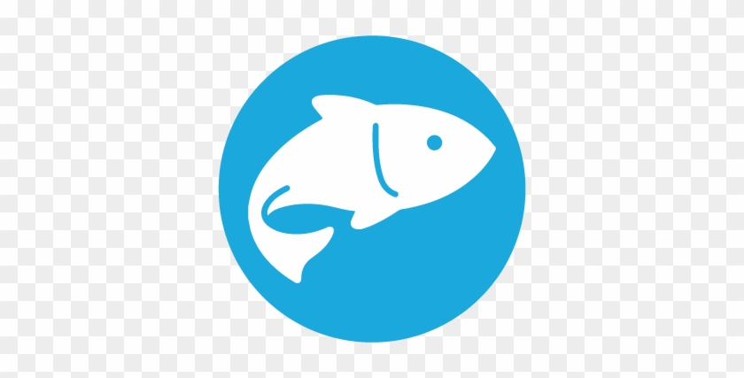 Epa Dha Fish Oil Joint Supplement Ingredients - Key Metrics Icon - Full ...