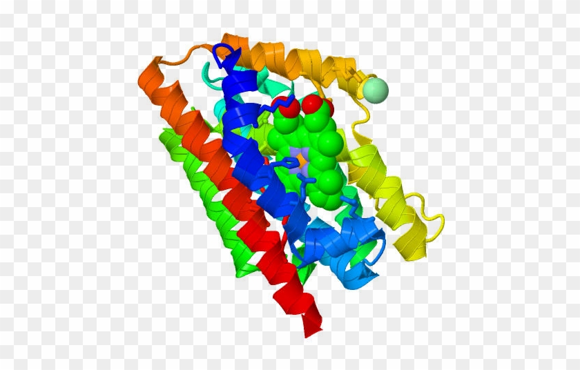 Crystal Structure Of Human Heme Oxygenase 1 - Crystal Structure Of ...