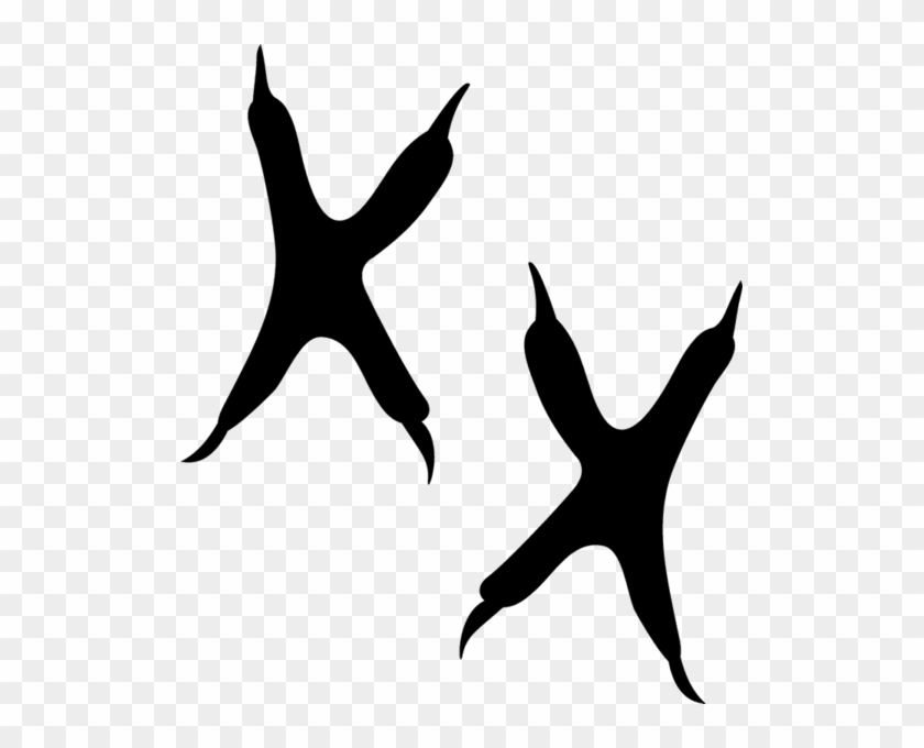 Owl Tracks Rubber Stamp Animal - Owl Tracks Rubber Stamp Animal - Full ...