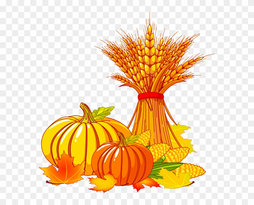 Harvest - Corn Stalks And Pumpkin Clipart - Full Size PNG Clipart ...