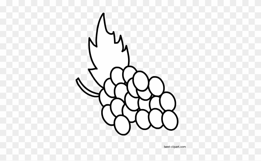 Free Grapes Clip Art - Grape - Full Size PNG Clipart Images Download