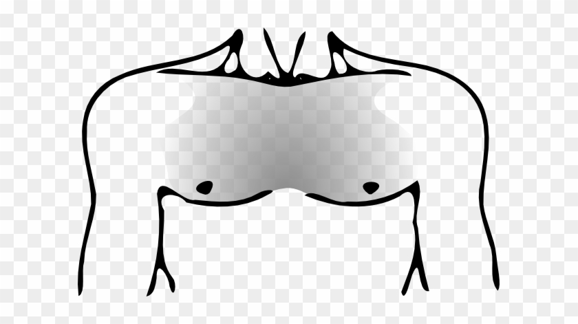 Human Chest Png - Full Size PNG Clipart Images Download