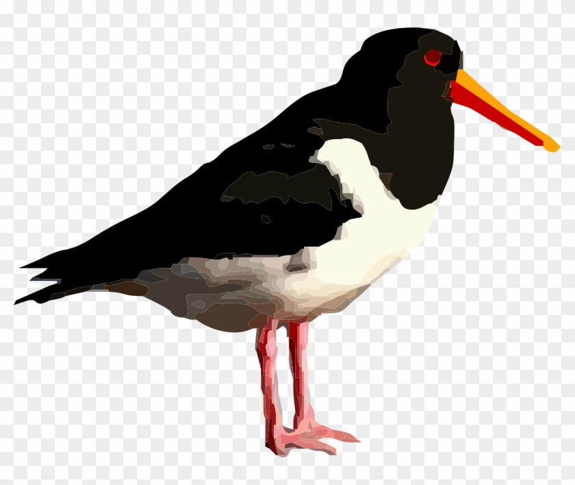 Standing Bird Png - Full Size PNG Clipart Images Download