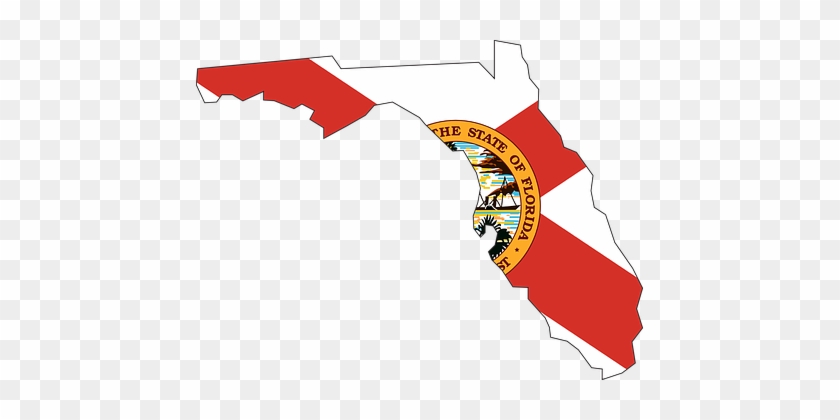 Map Of Florida - Florida State Outline With Flag - Full Size PNG ...