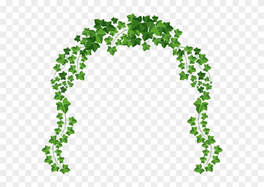 Vine Arch Png Clipart Picture - Vine Png - Full Size PNG Clipart Images ...