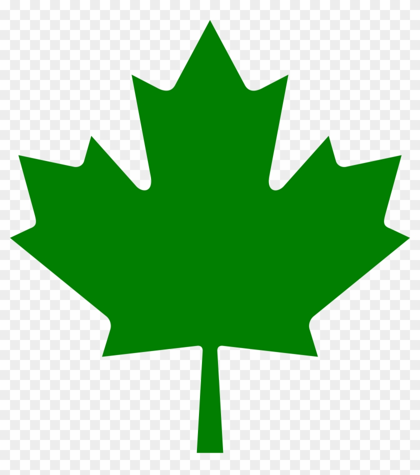 Willpower Images Of Canadian Maple Leaf File Green - Canadian Maple ...