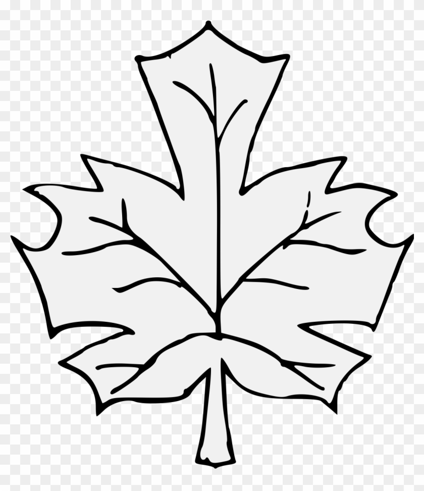 Maple Leaf - Art - Full Size PNG Clipart Images Download