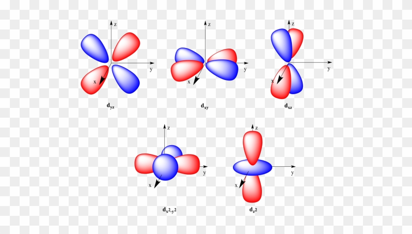 The Seven F Orbitals Are Shown Below - Diagram - Full Size PNG Clipart ...