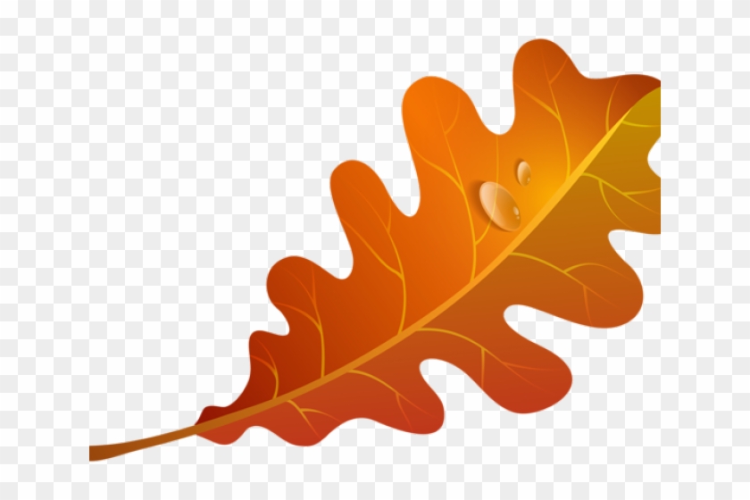 Autumn Leaves Clipart Orange Leaf - Orange Leaf Clipart - Full Size PNG ...