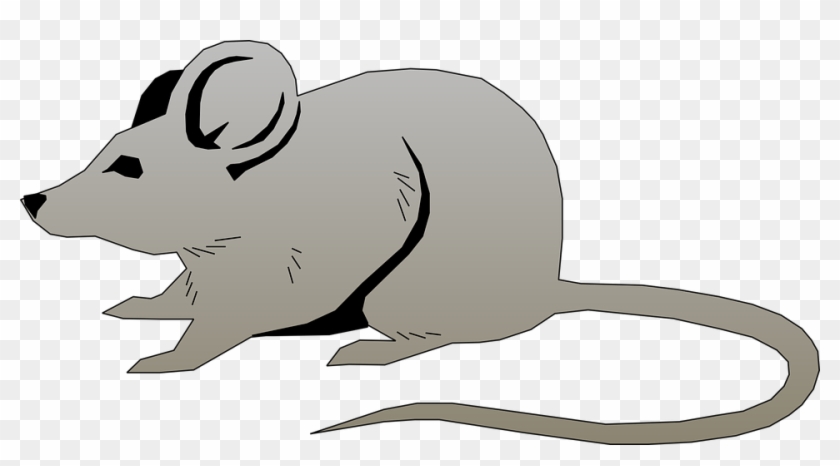 Mice Clipart Mouse Animal - Mouse Png Clip Art - Full Size PNG Clipart ...