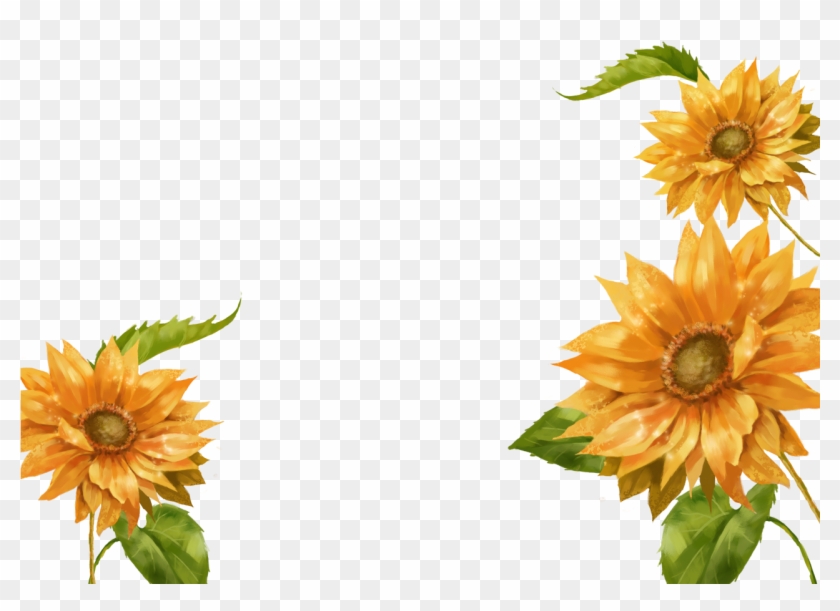 Common Sunflower Software - Common Sunflower Software - Free ...