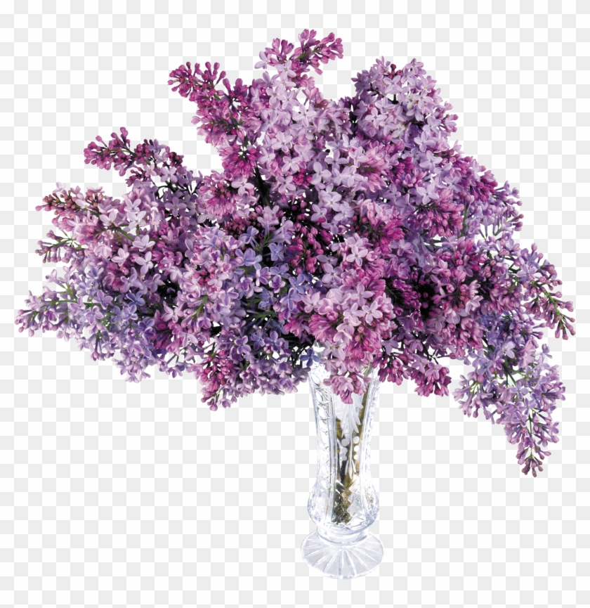 Lilac Flower Clip Art - Lilac Flower Clip Art - Free Transparent PNG ...