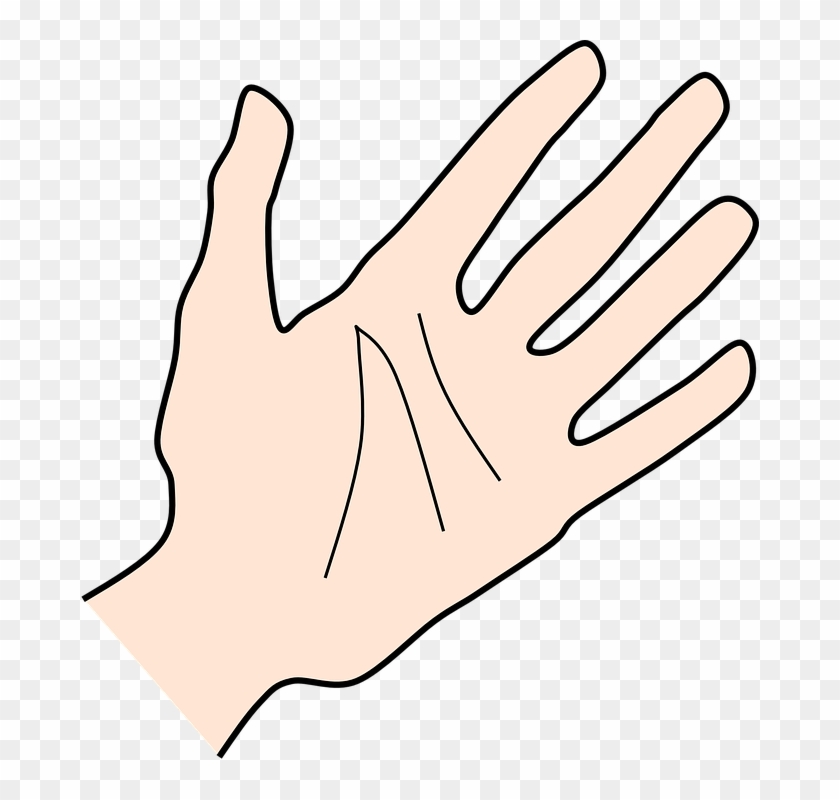 Palm By Rones Png Images - Clip Art - Full Size PNG Clipart Images Download