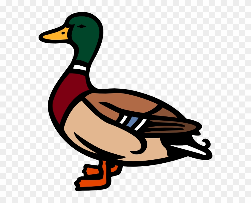 Canard Clip Art - Free Transparent PNG Clipart Images Download