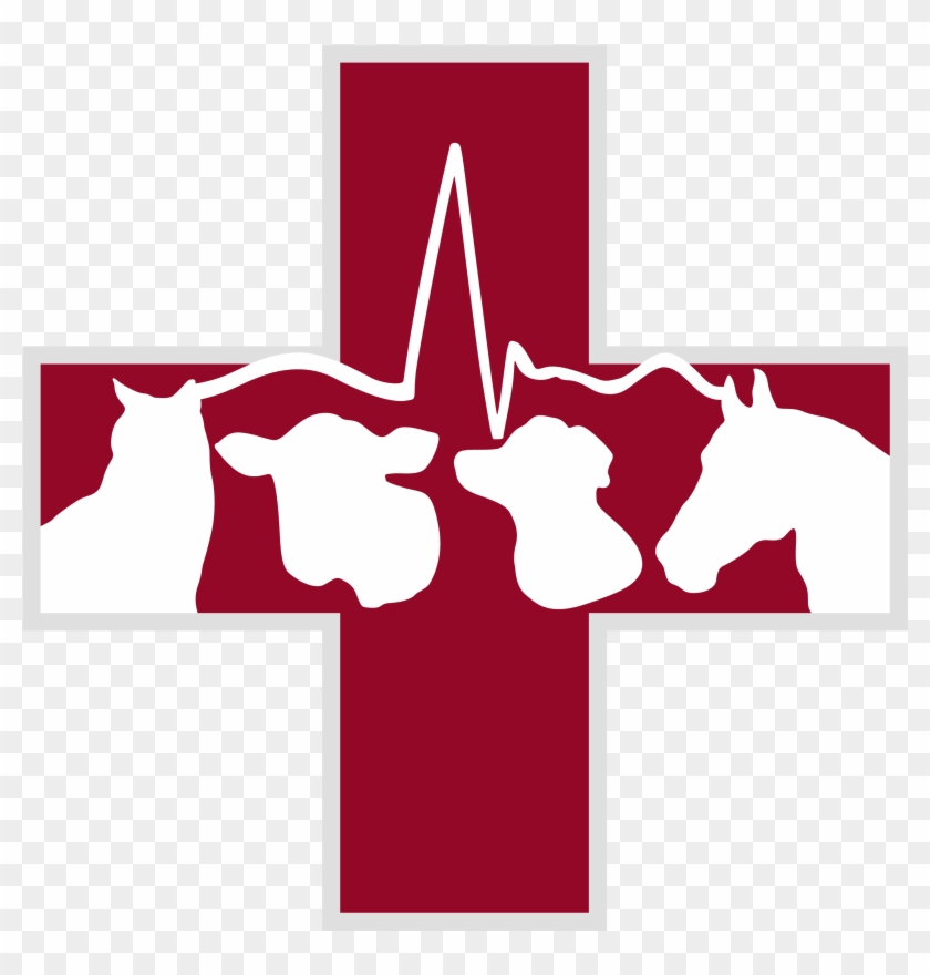 Veterinary Logo Clip Art - Large Animal Vet Logo - Full Size PNG ...