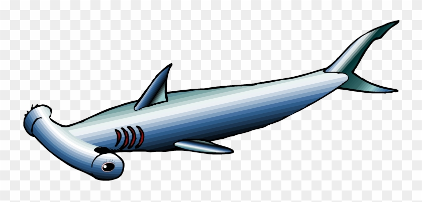 Hammerhead Shark - Hammerhead Shark - Full Size PNG Clipart Images Download