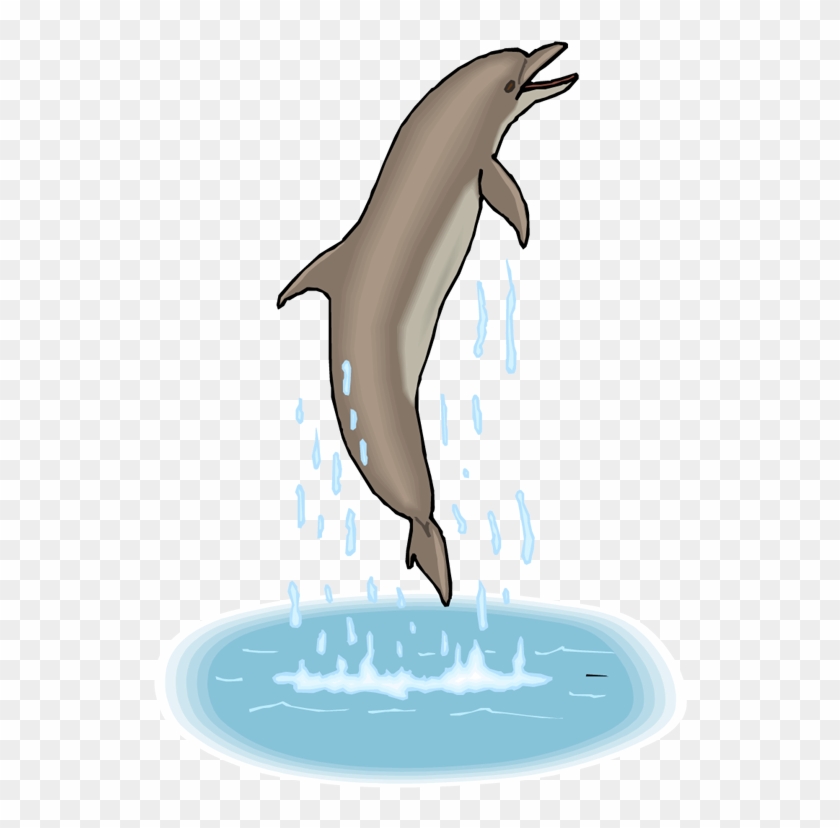 Jumping Dolphin - Dolphin - Full Size PNG Clipart Images Download