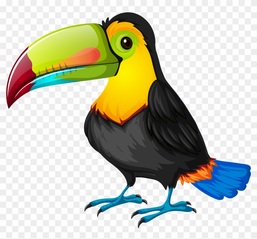 Toucan Cartoon Png Transparent Imageu200b Gallery Yopriceville - Toucan ...
